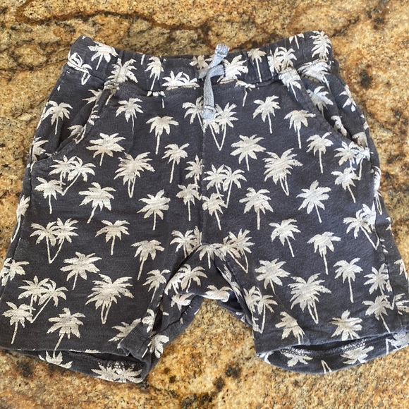 Zara | Bottoms | Zara Palm Tree Shorts | Poshmark